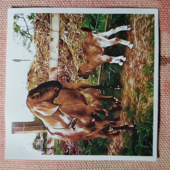 Office | Q Goat Sticker Goats Sticker Pegantinas De Cabra | Poshmark